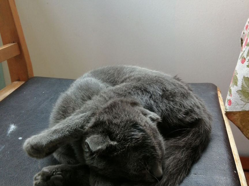 Личный тренер по йоге ищет работу с проживанием