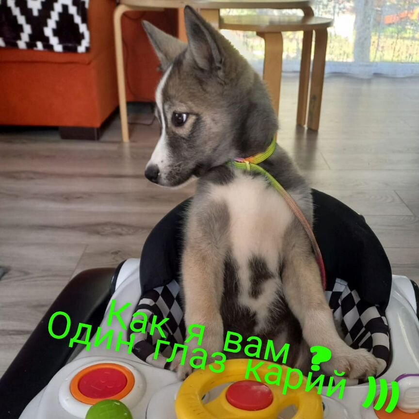 Снежный барс 4WD пробег по РФ 3 месяца