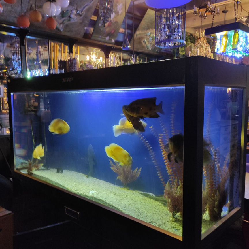 Аквариум с тумбой 1000л