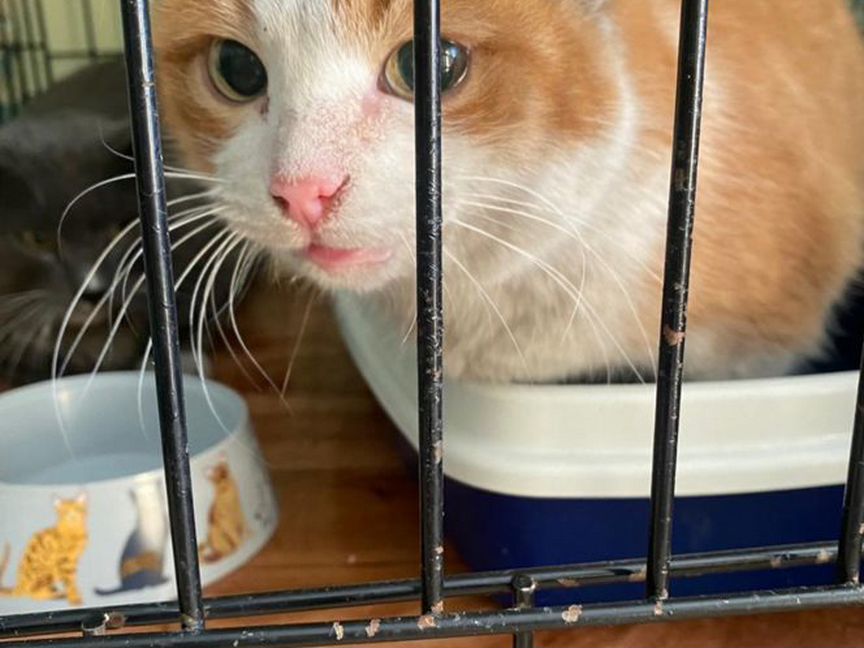 Дама спасена с завода