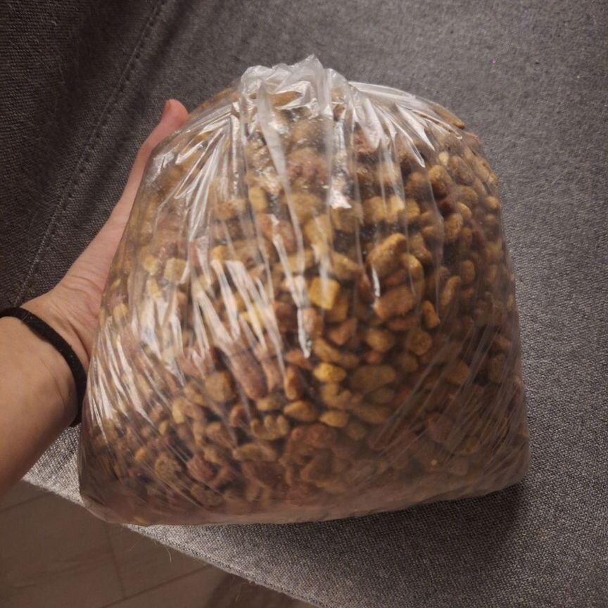 Корм для бездомных котиков