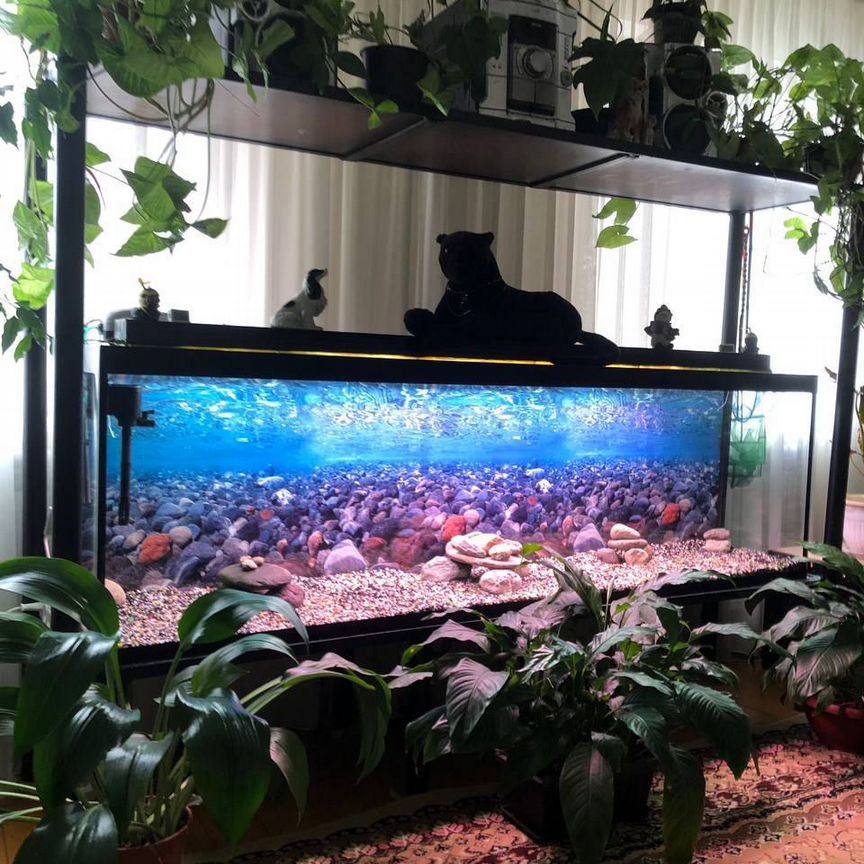Аквариум весь в сборе