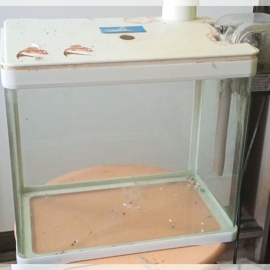 Аквариум б/у