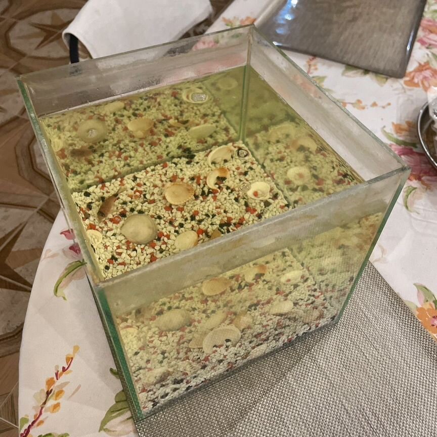 Бронь до 20.01 Сомик и аквариум