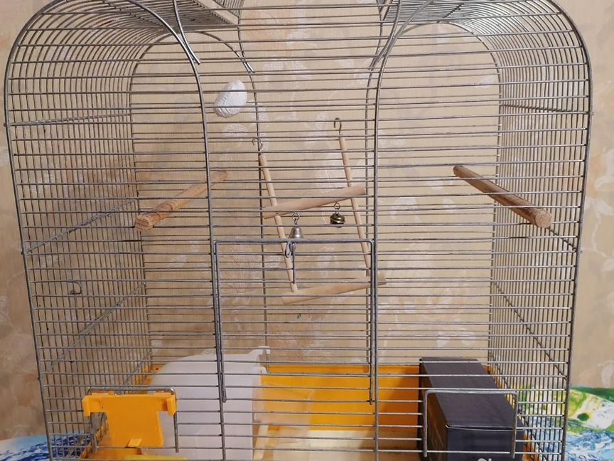 Клетка для попугая бу