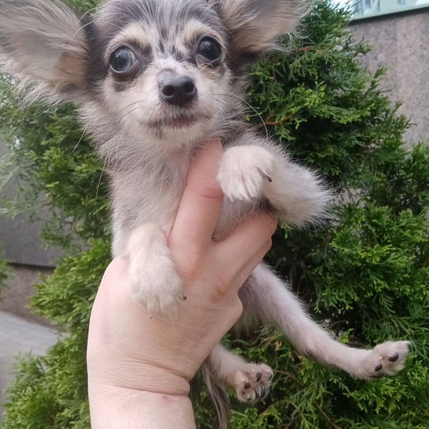 Девочка мини одна на миллион