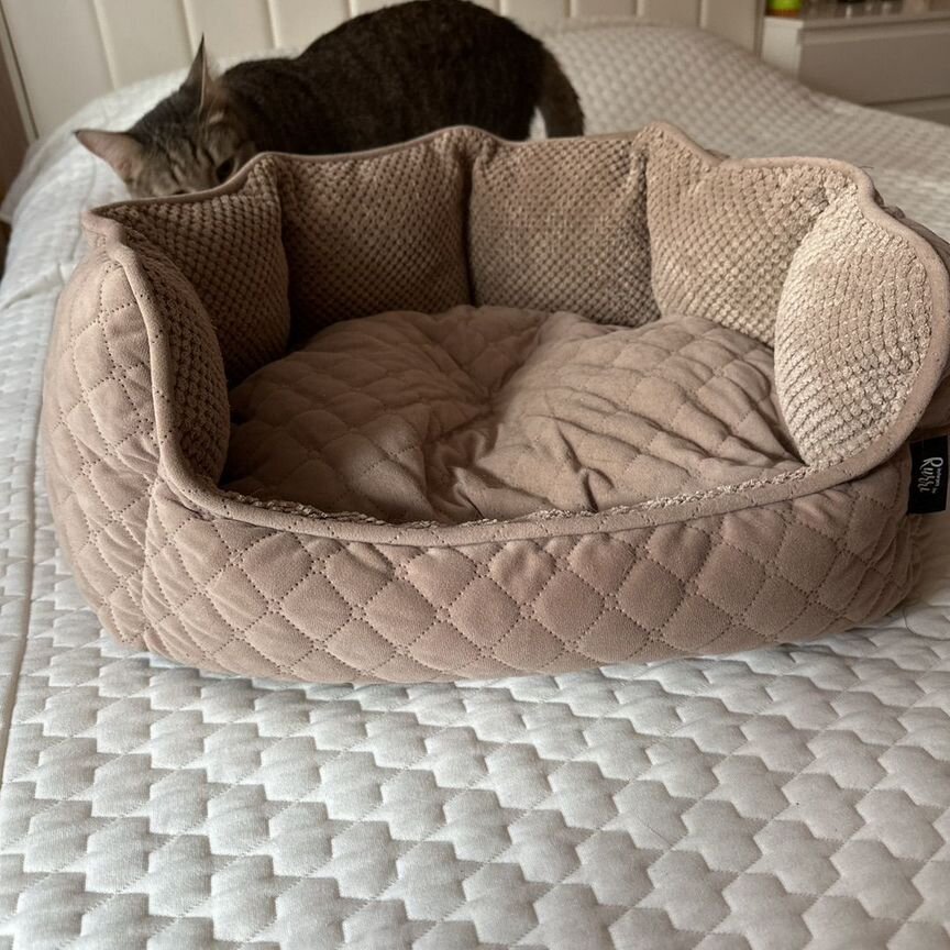 Кошачьи предметы для котиков