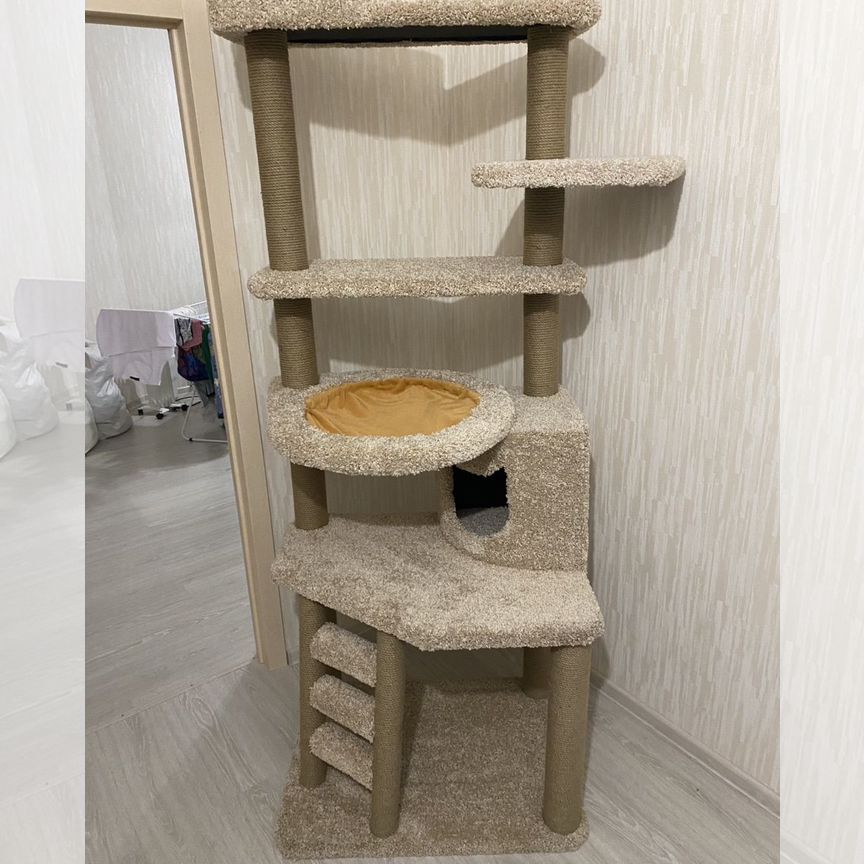 Когтеточка для мейн куна