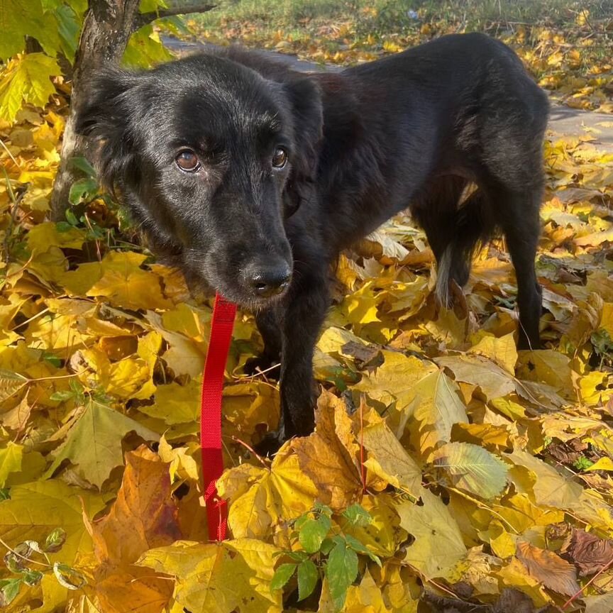 Милая девочка