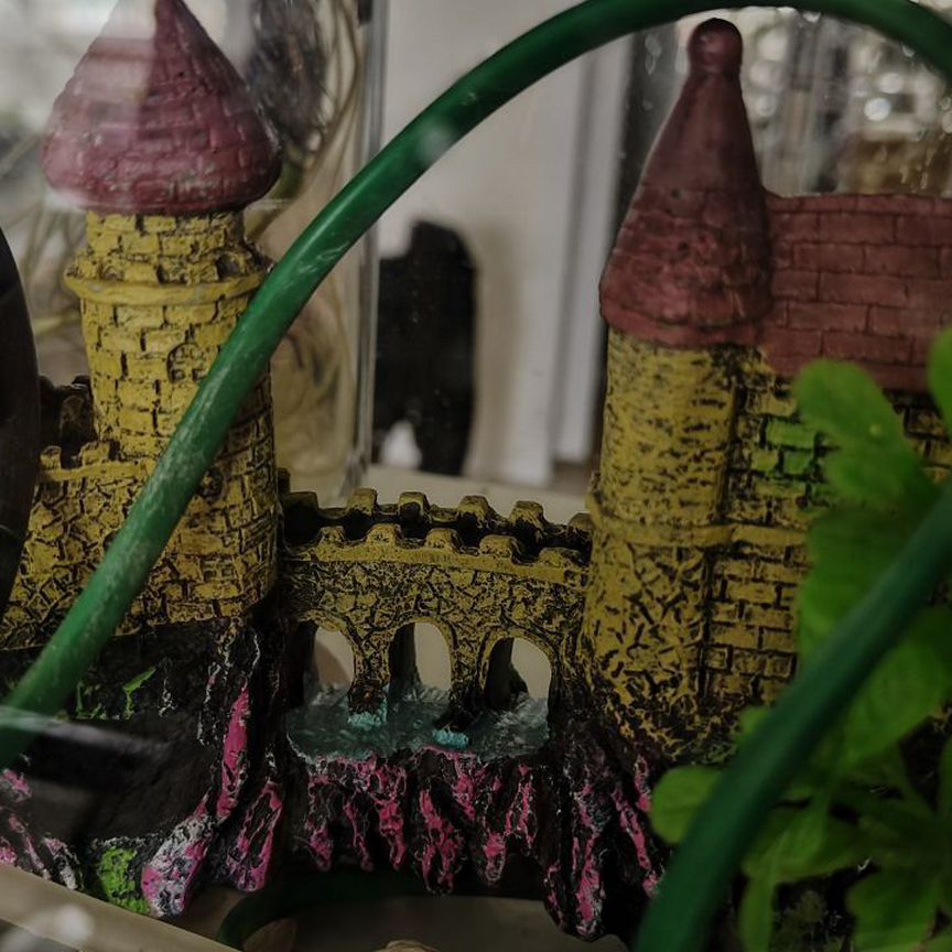 Аквариум с фильтром, подсветкой, внутренними украш