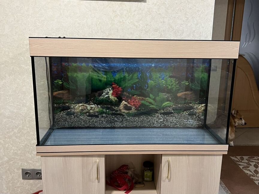 Террариум для грузынов/рептилий 200 литров