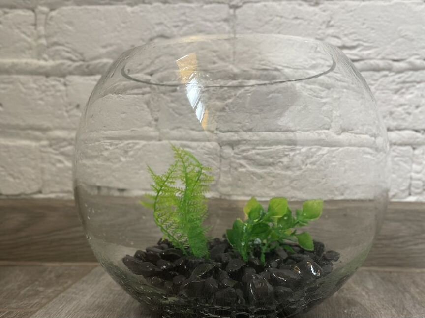 Аквариум с декорациями