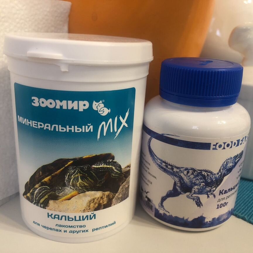 Баночка для корма рептилий