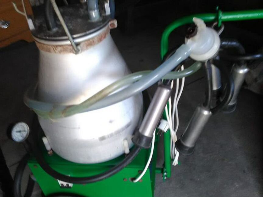 Доильный аппарат бу