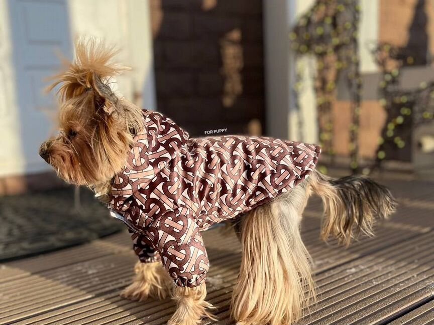 Одежда для собак - Куртка burberry