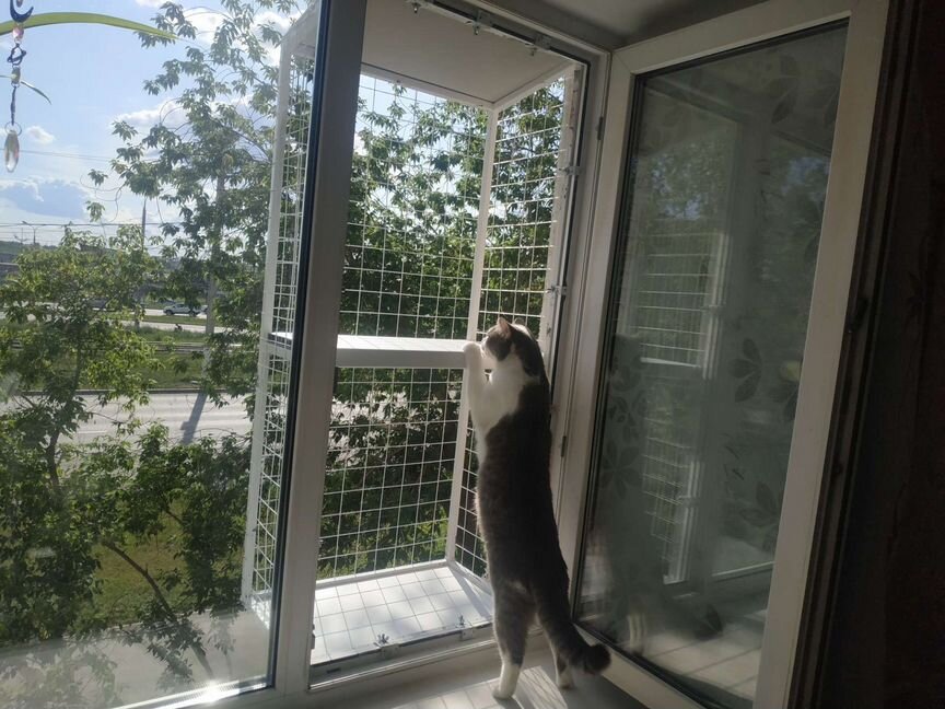 Балкон для кошек
