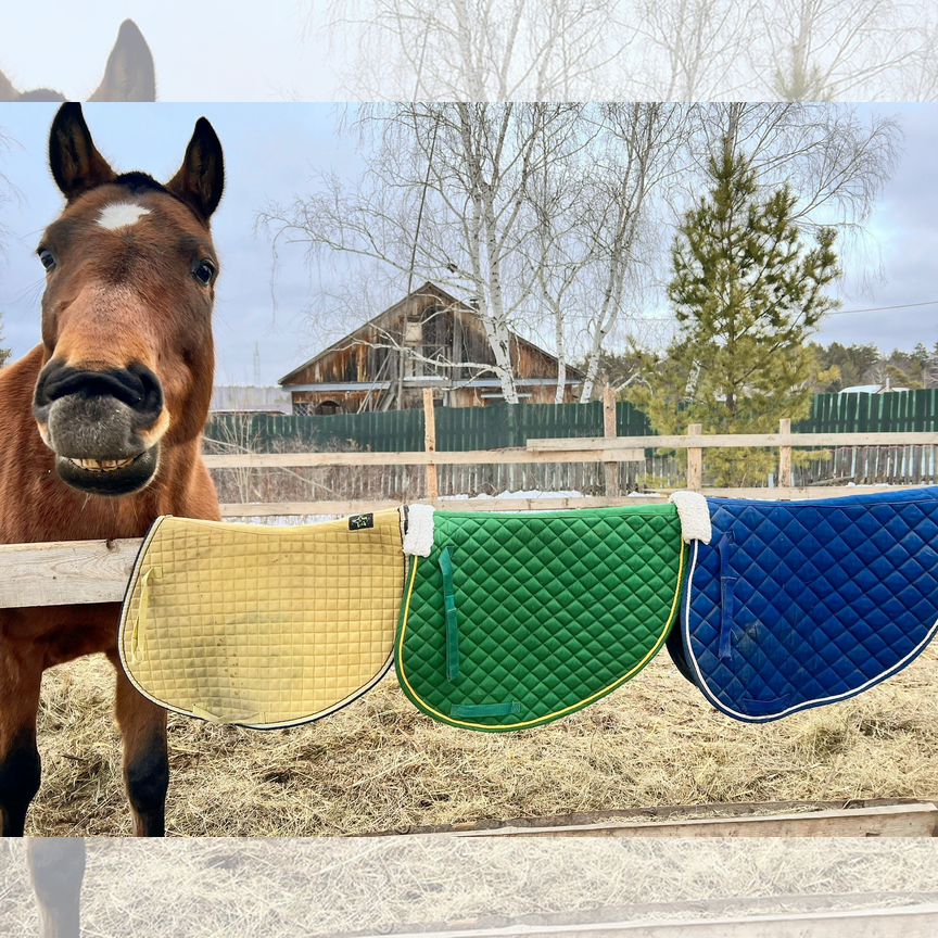 Вальтрап на лошадь