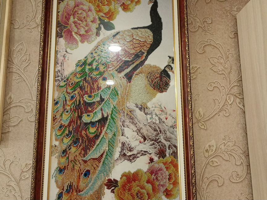 Павлины продажа