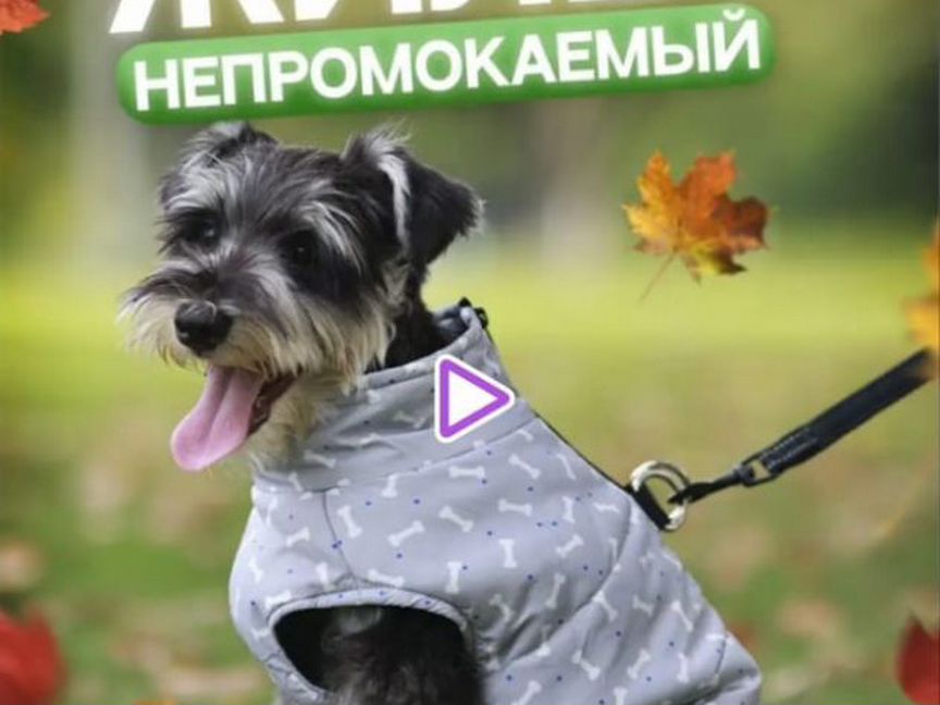 Жилетка для собак