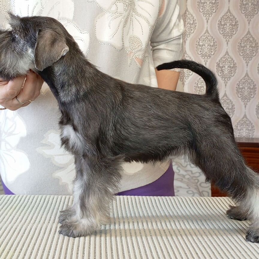 Девочка перчик