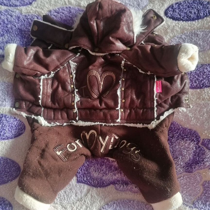 Дубленка для маленькой собаки