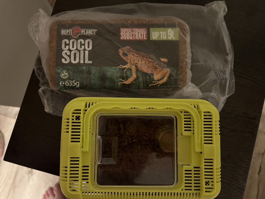 Терариум для паука