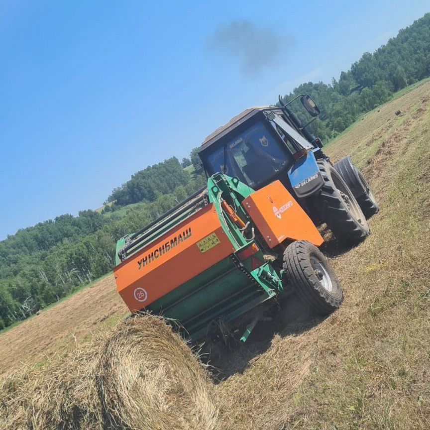 Продам сено в рулонах