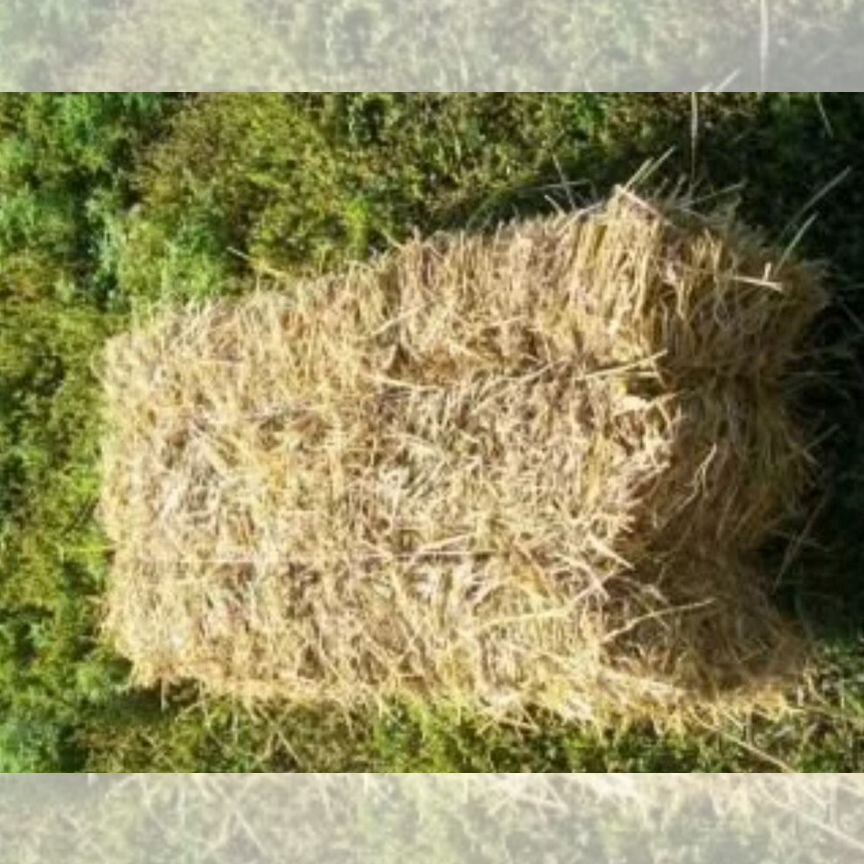 Солома в тюках