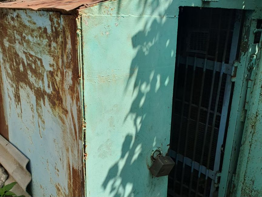 Голубятня продажа