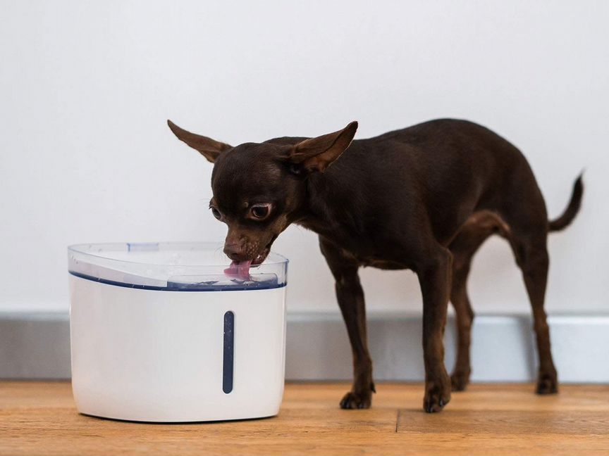 Умная автопоилка Petoneer SMART PetWater Dispenser