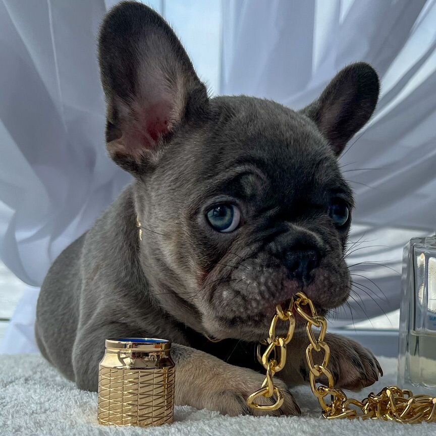 Французские булочки