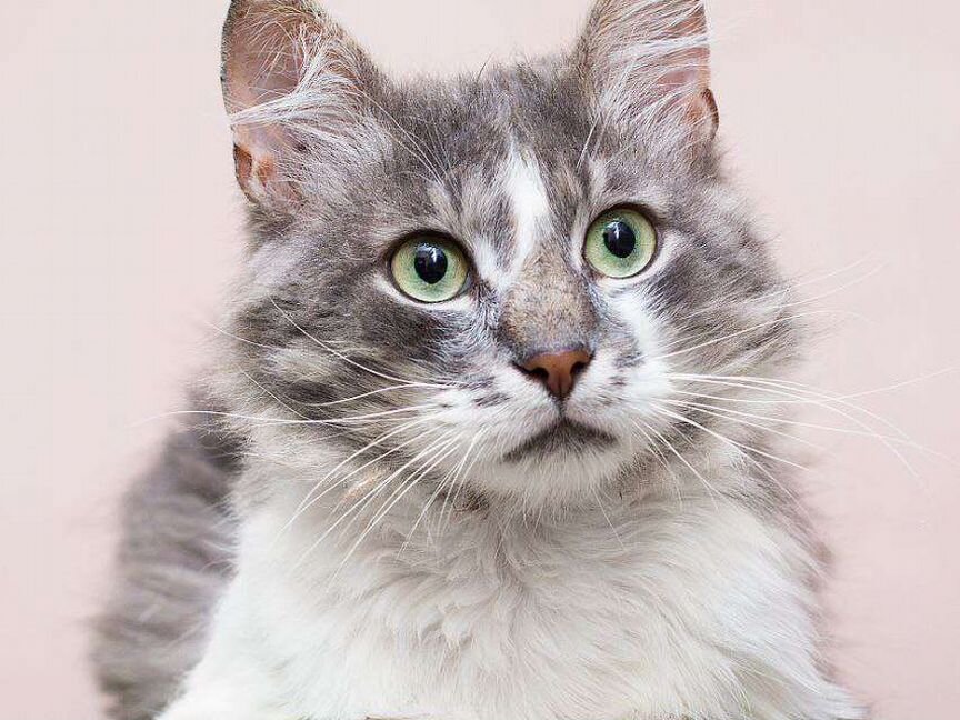 Спасенные из Зоны