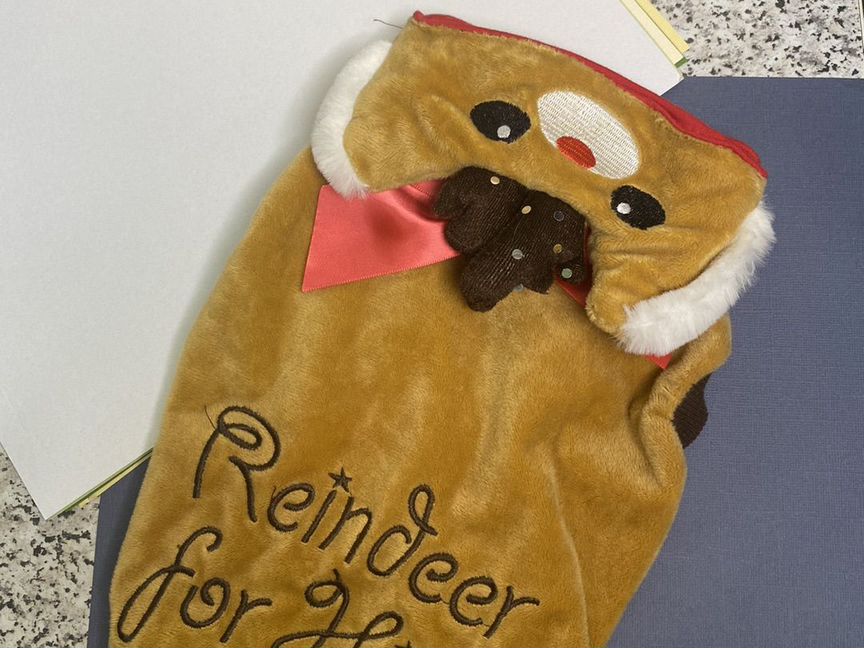 Костюм для кошки