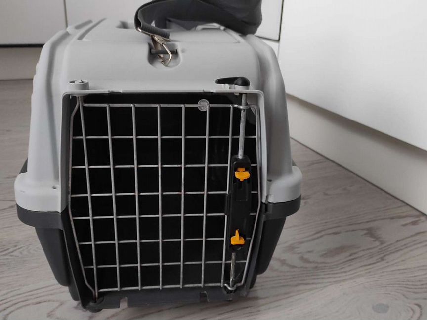 Переноска для собак и кошек аренда, прокат