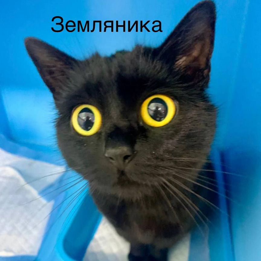 Им всем нужен дом