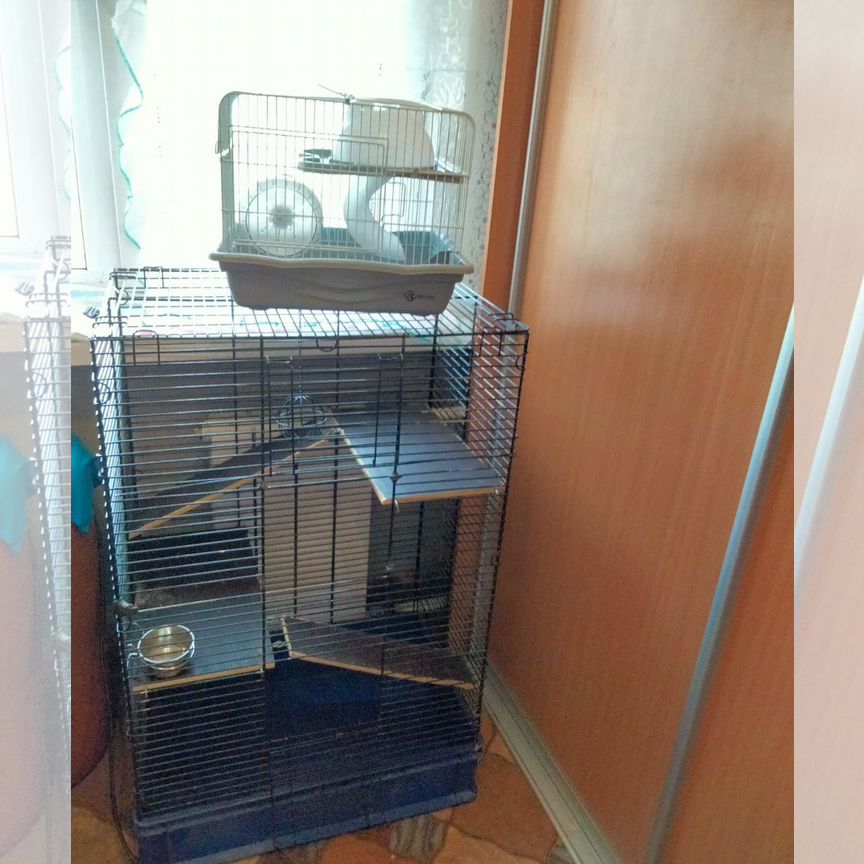 Клетки для грызунов