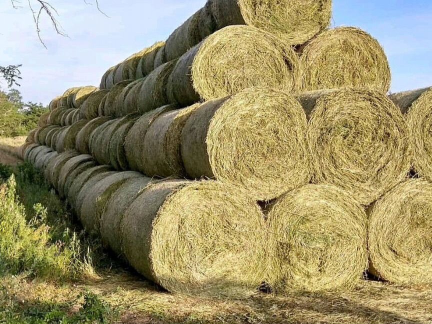Сено в тюках и рулонах