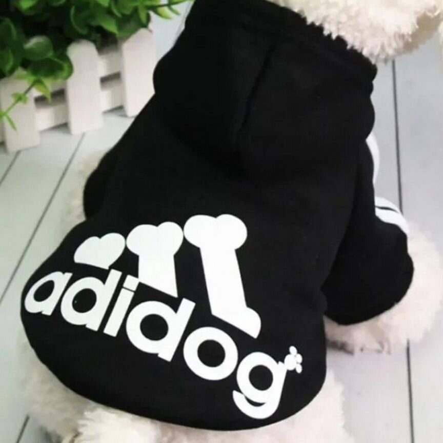 Одежда для собак мелких пород