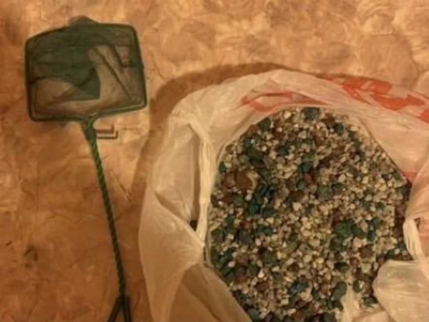 Аквариумный принадлежности