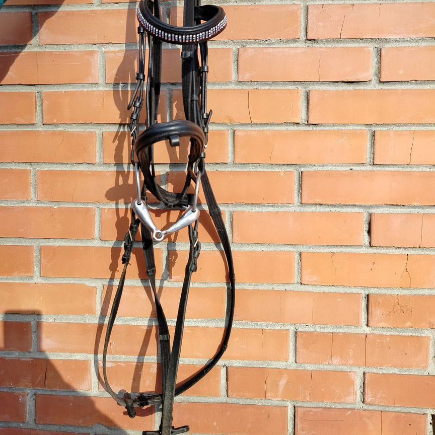 Уздечка для лошади cob