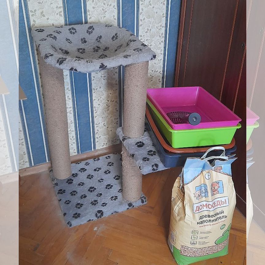 Вещи для кошек