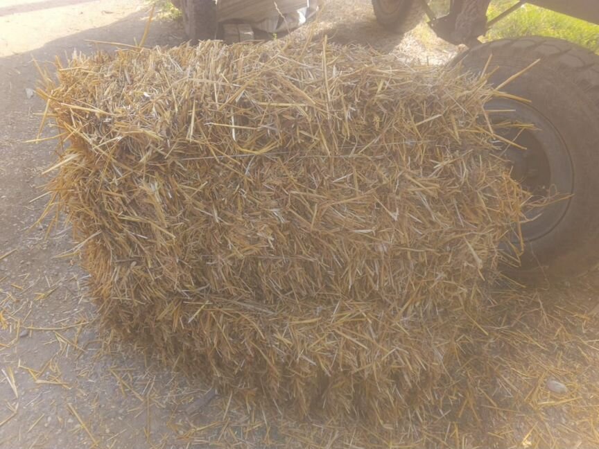 Продается солома пшеничная