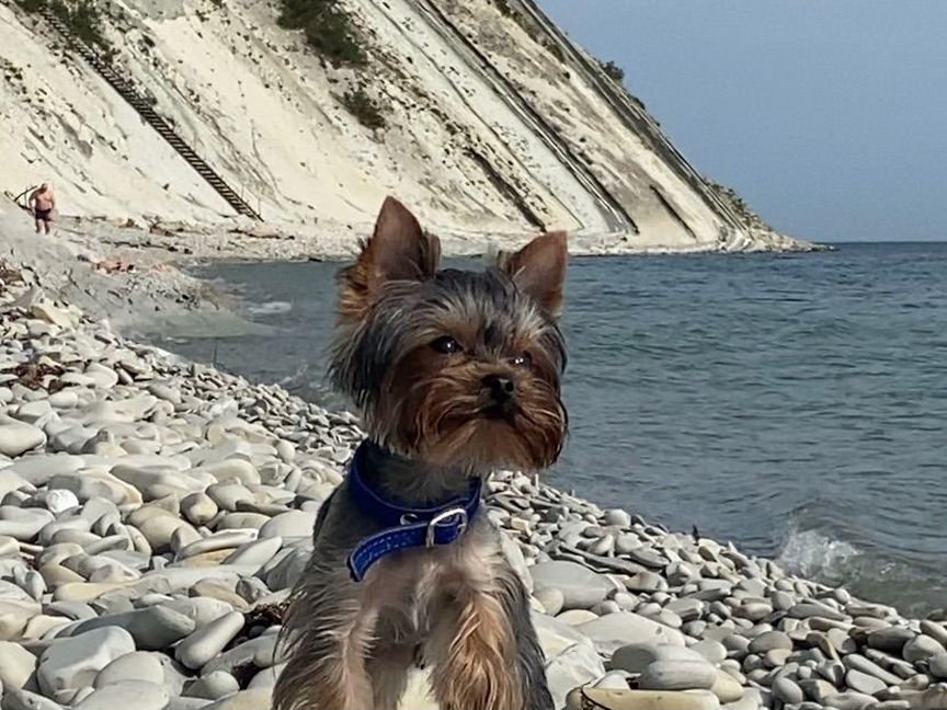 Вязка мальчик супер мини