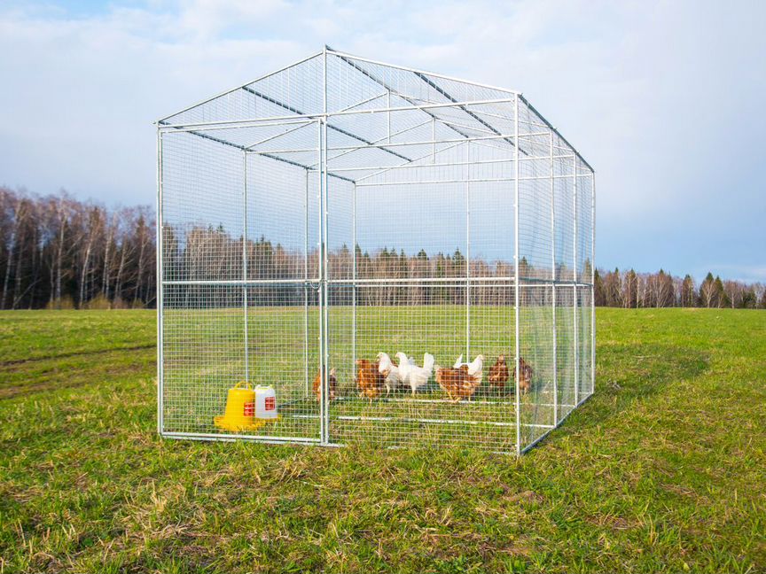 Выгул для птиц из сетки без крыши