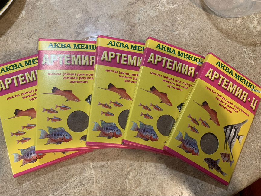 Артемия цисты