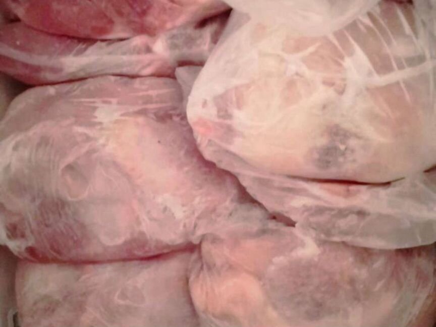 Продукты на корм животным