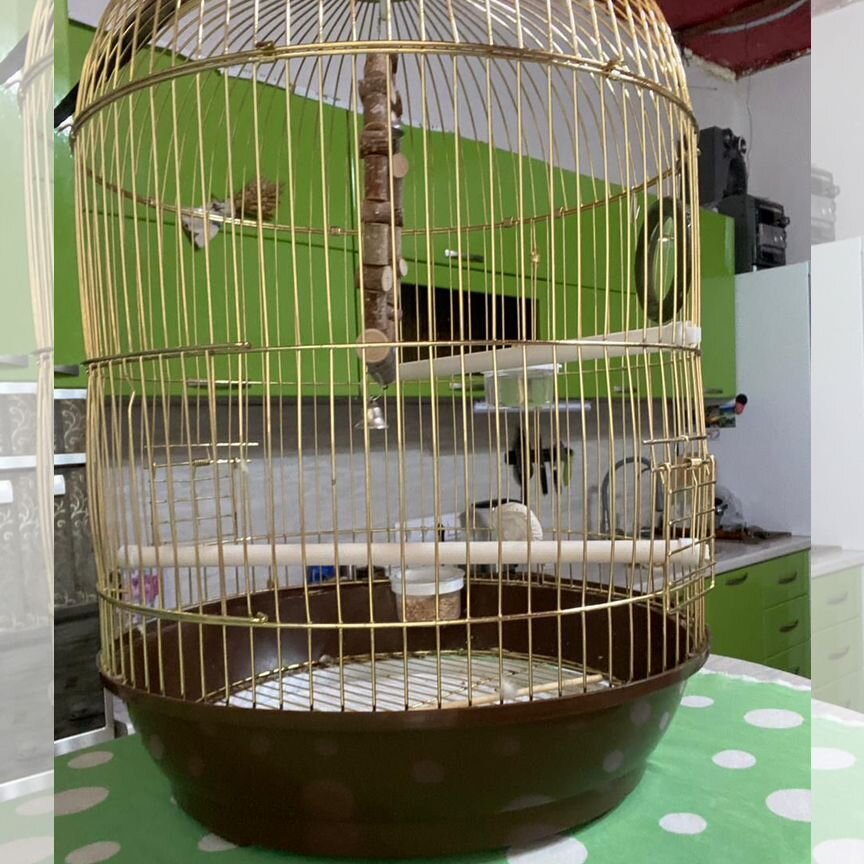 Клетка для попугая