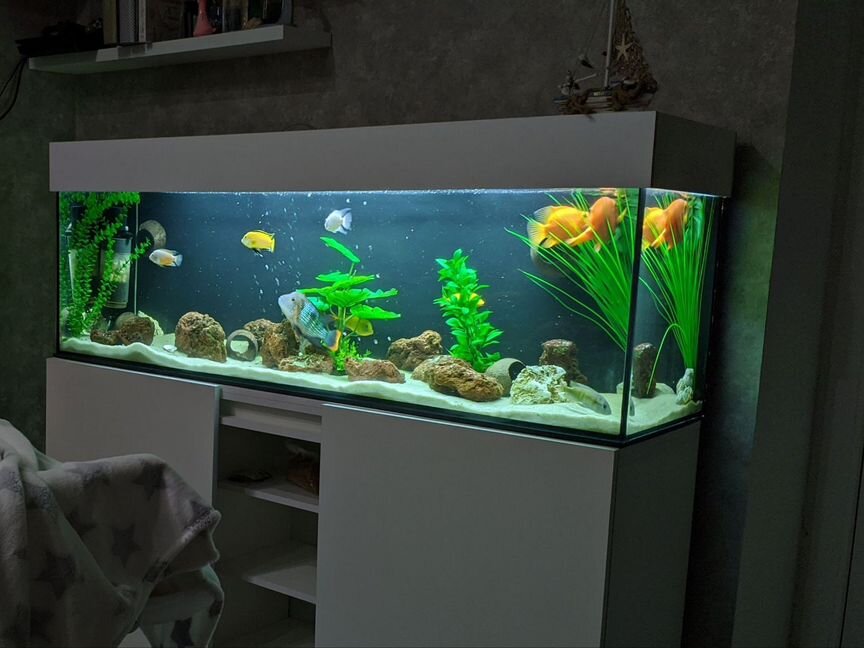 Аквариум с тумбой 300 литров