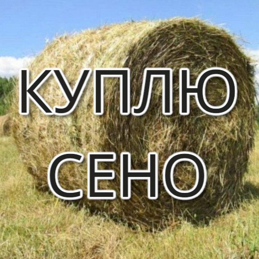 Сено в рулонах