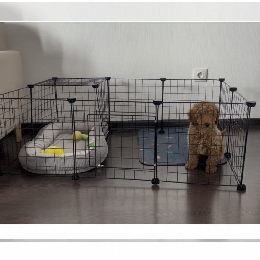 Вольер для щенков